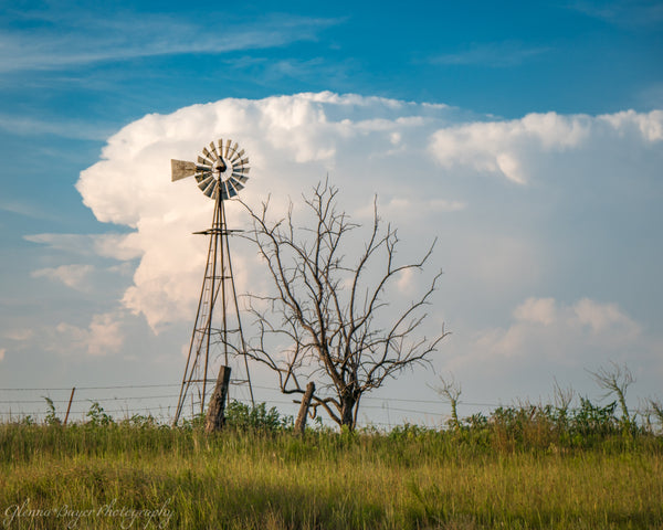 Kansas Windmill Print | Glenna Bayer Photography